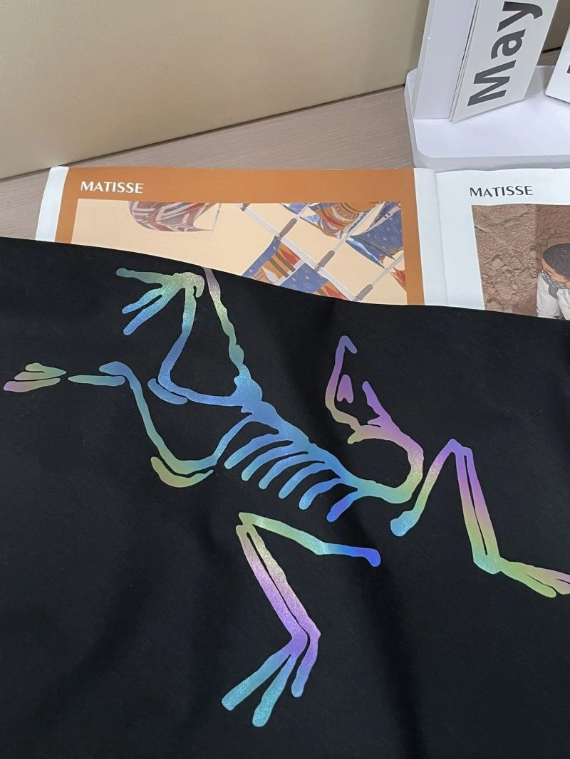 Indistinguishable Arcteryx T-Shirts