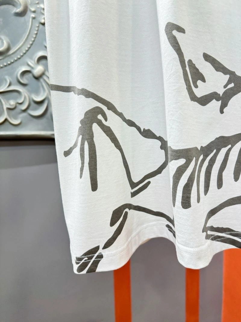 Indistinguishable Arcteryx T-Shirts