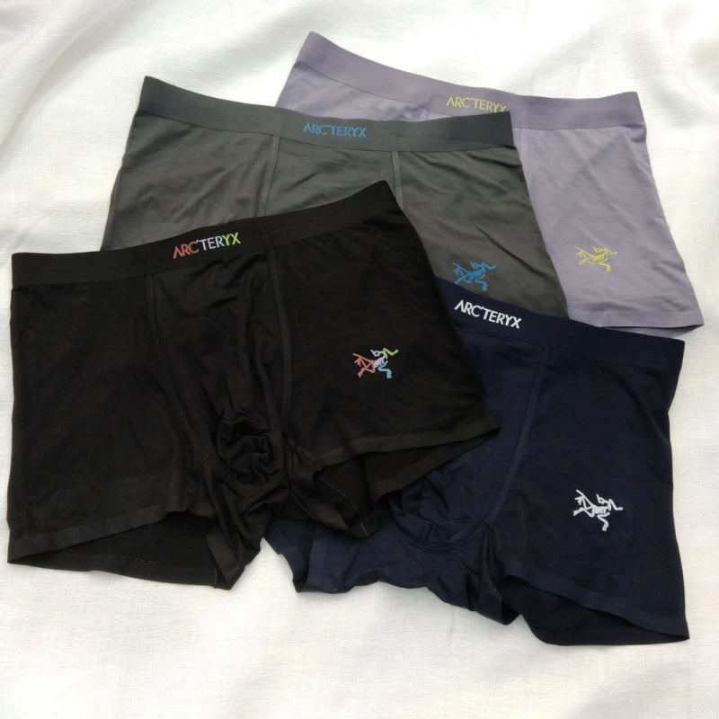 High fidelity Arcteryx Underwear