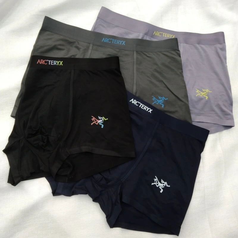 High fidelity Arcteryx Underwear