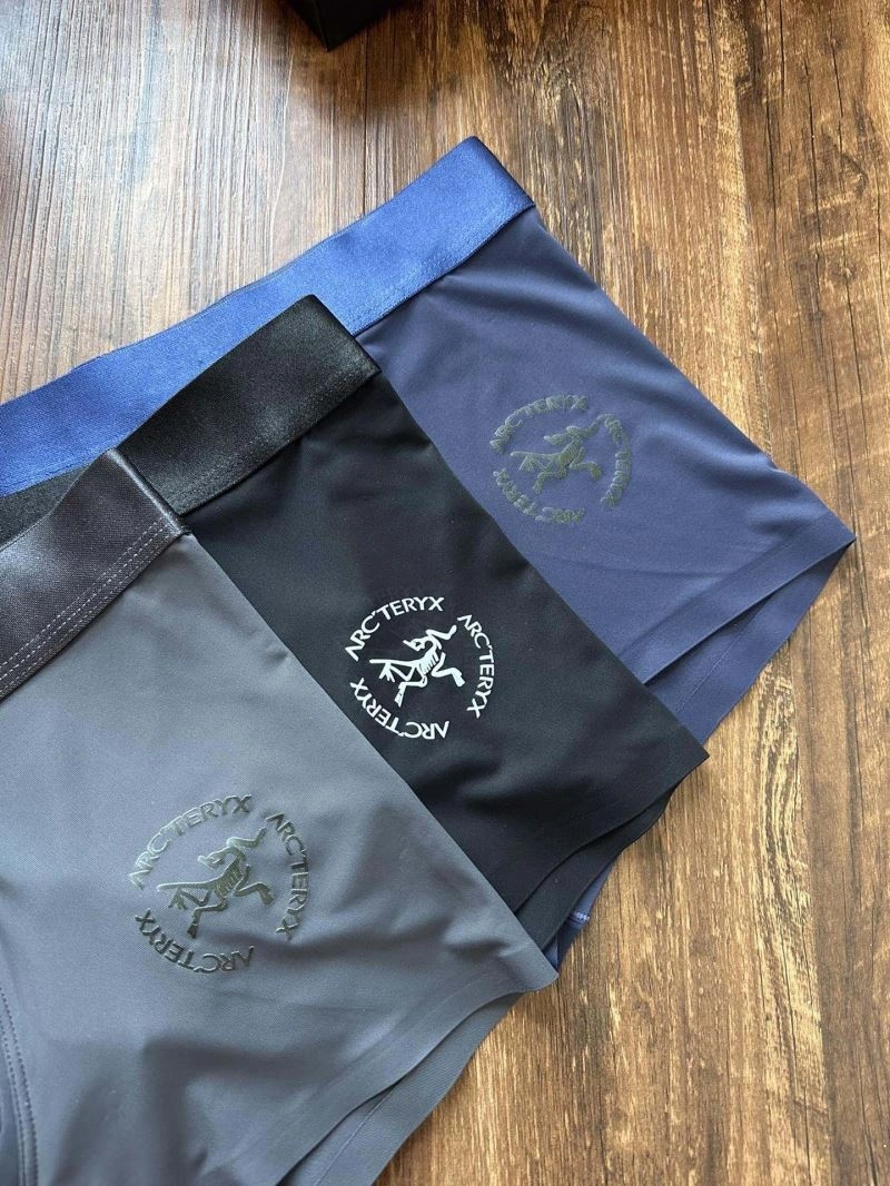 Top mirror Arcteryx Underwear