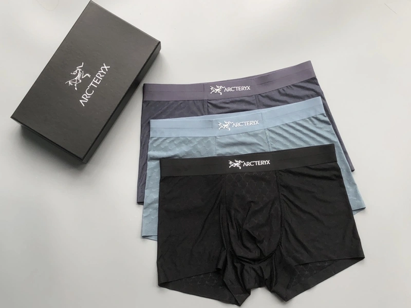 Precise copy Arcteryx Underwear