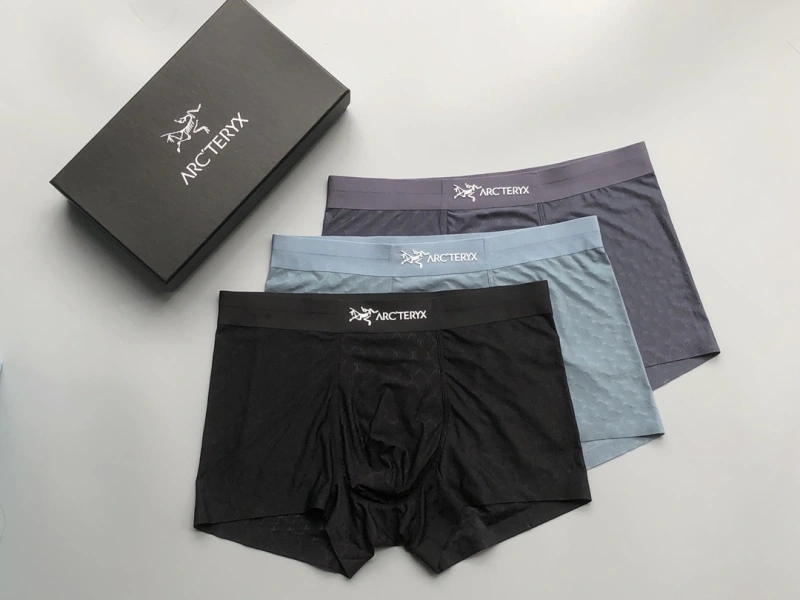 Precise copy Arcteryx Underwear