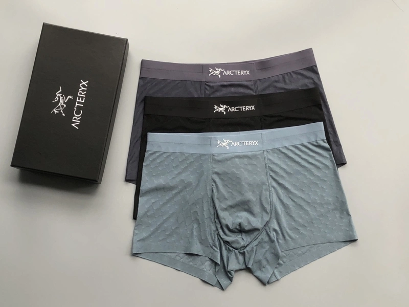 Precise copy Arcteryx Underwear
