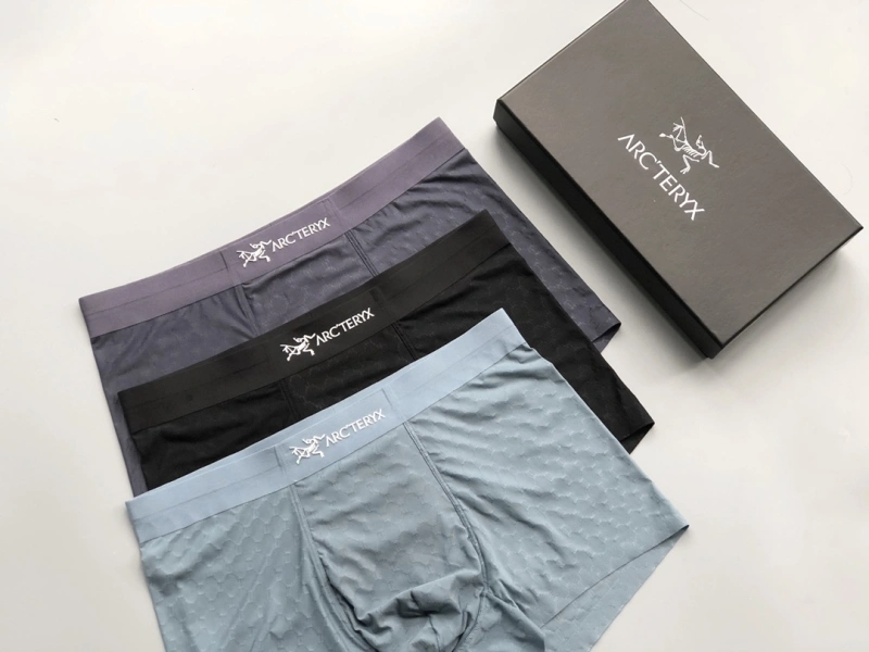 Precise copy Arcteryx Underwear
