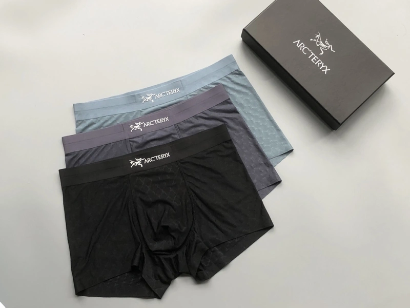 Precise copy Arcteryx Underwear