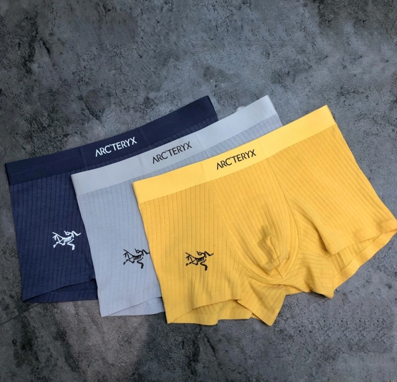 High fidelity Arcteryx Underwear