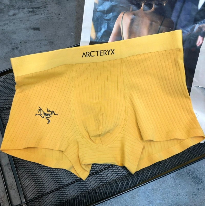 High fidelity Arcteryx Underwear