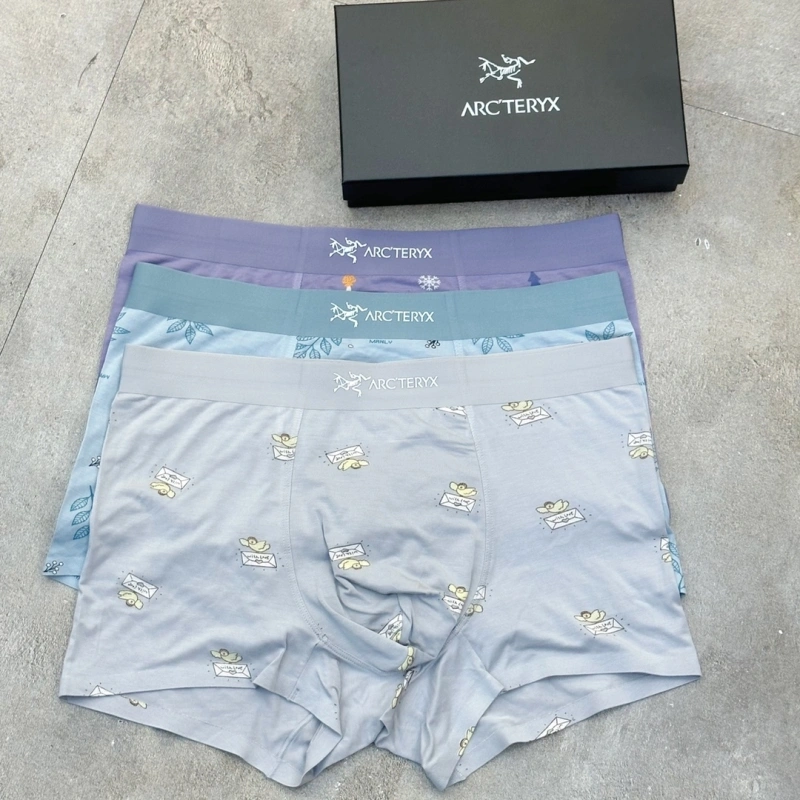 Top mirror Arcteryx Underwear