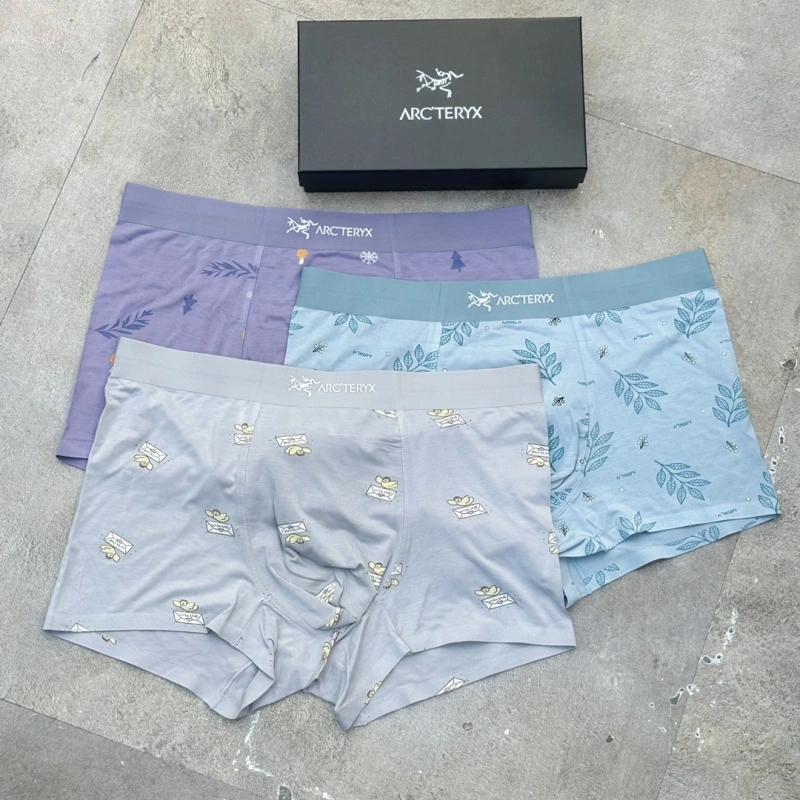 Top mirror Arcteryx Underwear