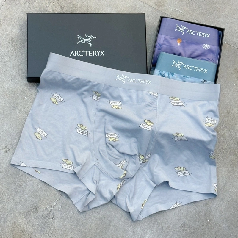 Top mirror Arcteryx Underwear