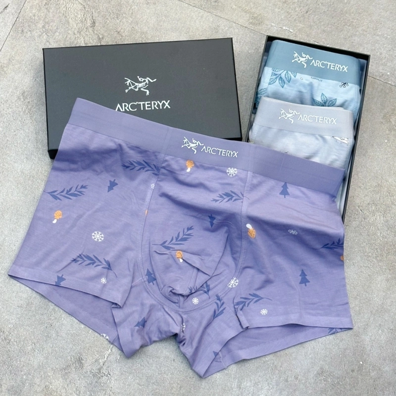 Top mirror Arcteryx Underwear