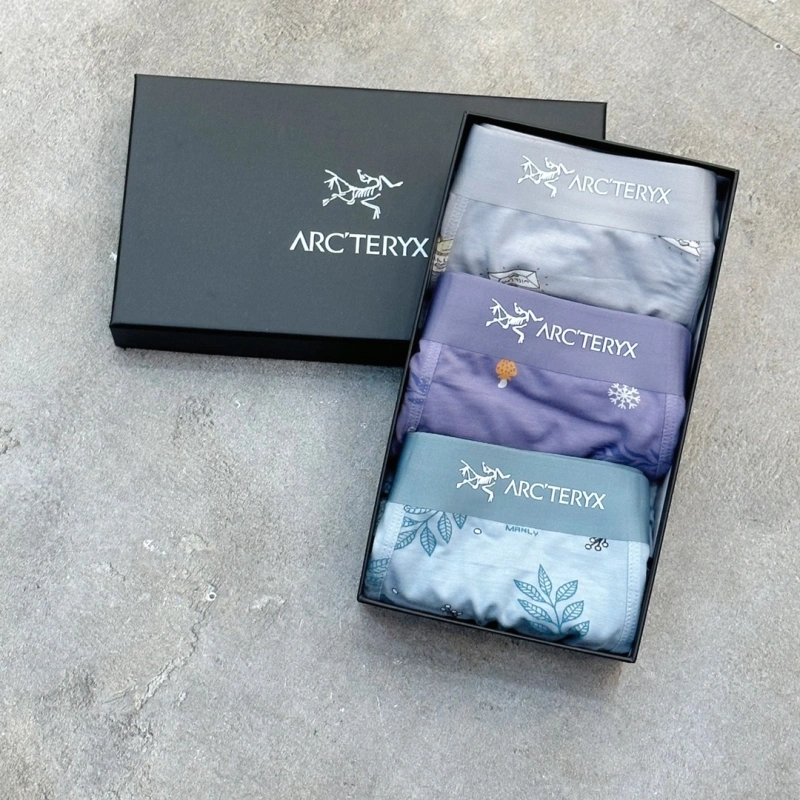Top mirror Arcteryx Underwear