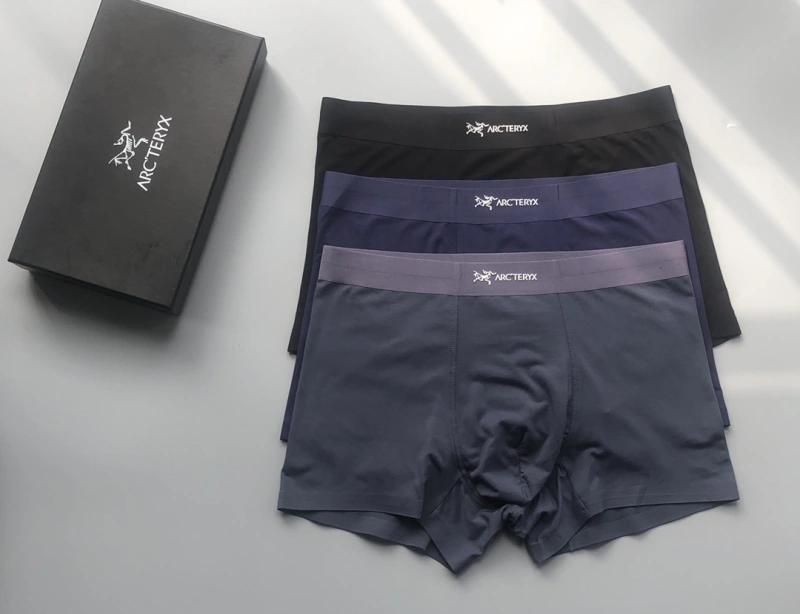 1:1 copy Arcteryx Underwear
