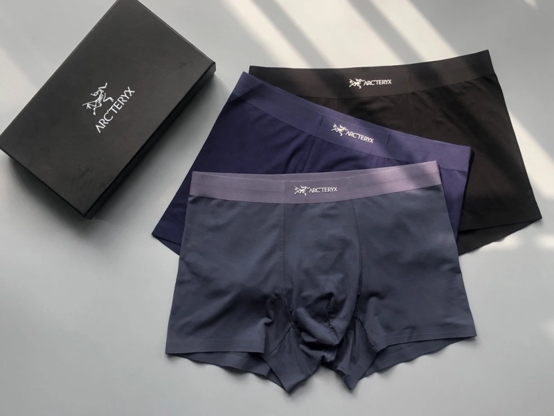 1:1 copy Arcteryx Underwear
