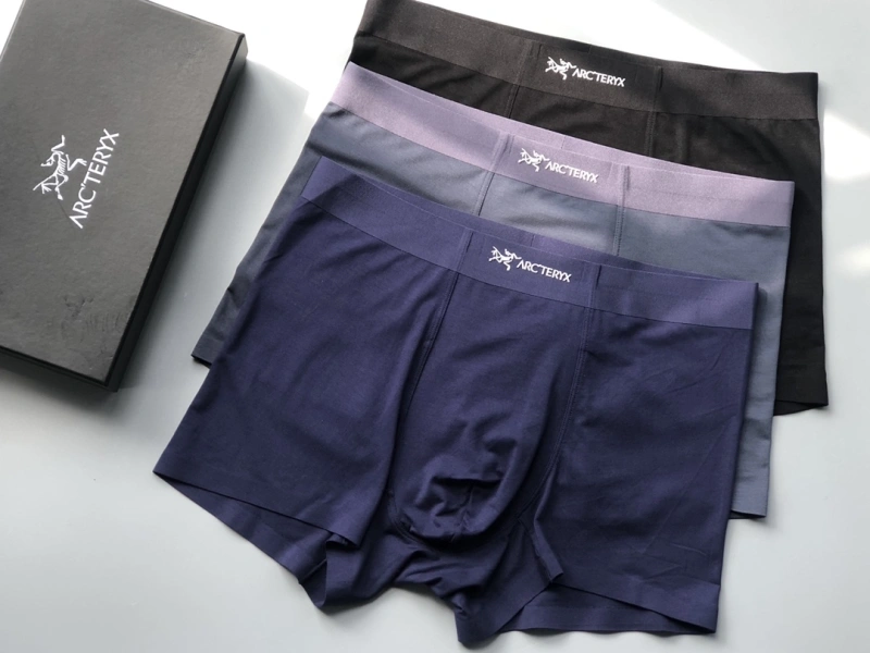 1:1 copy Arcteryx Underwear