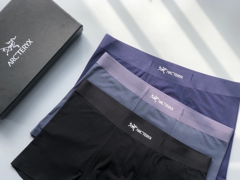1:1 copy Arcteryx Underwear