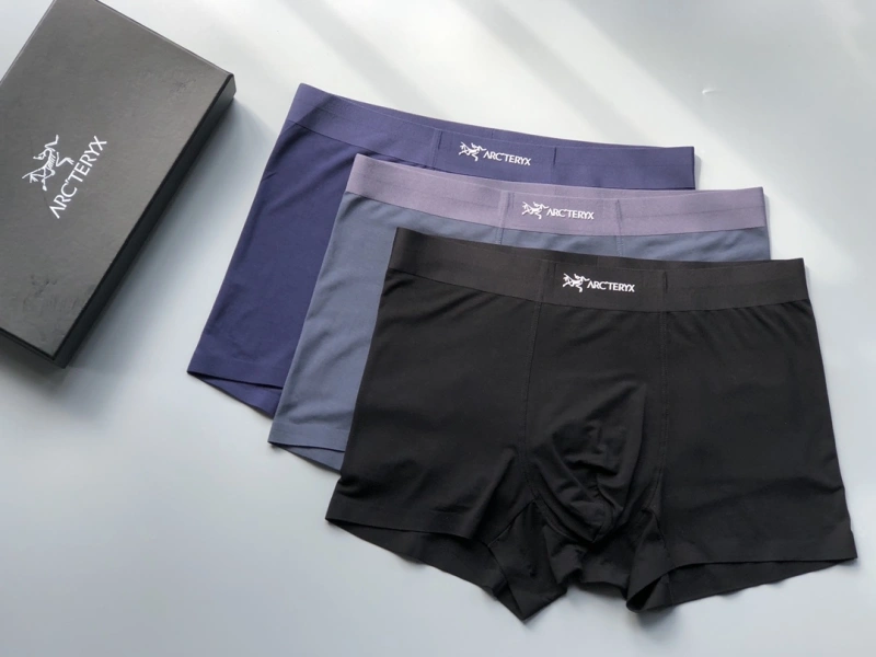 1:1 copy Arcteryx Underwear