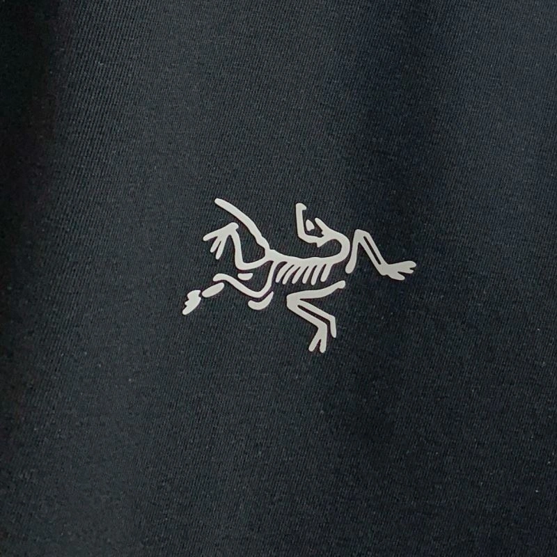 Indistinguishable Arcteryx Vest