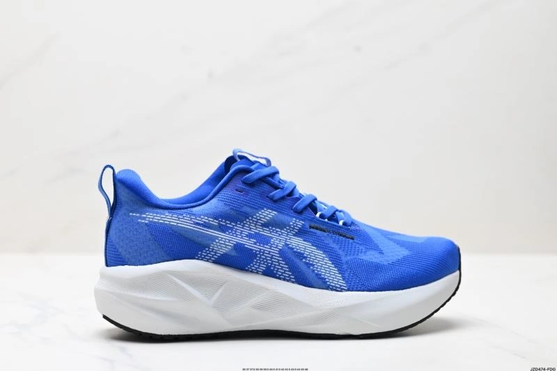 Asics Shoes