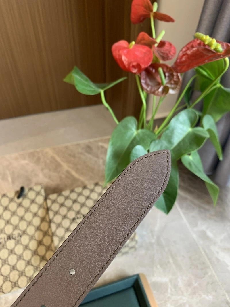 Indistinguishable Balenciaga Belts