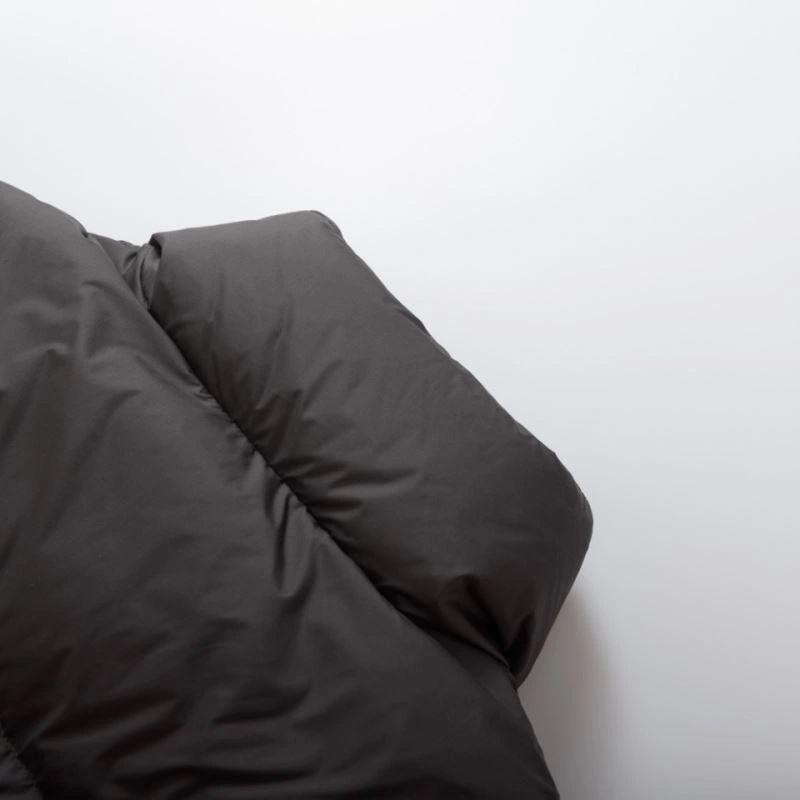 High accuracy Balenciaga Down Jackets