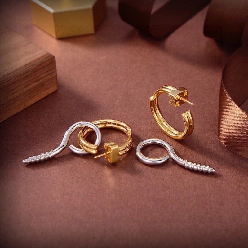 Economical Balenciaga Earrings