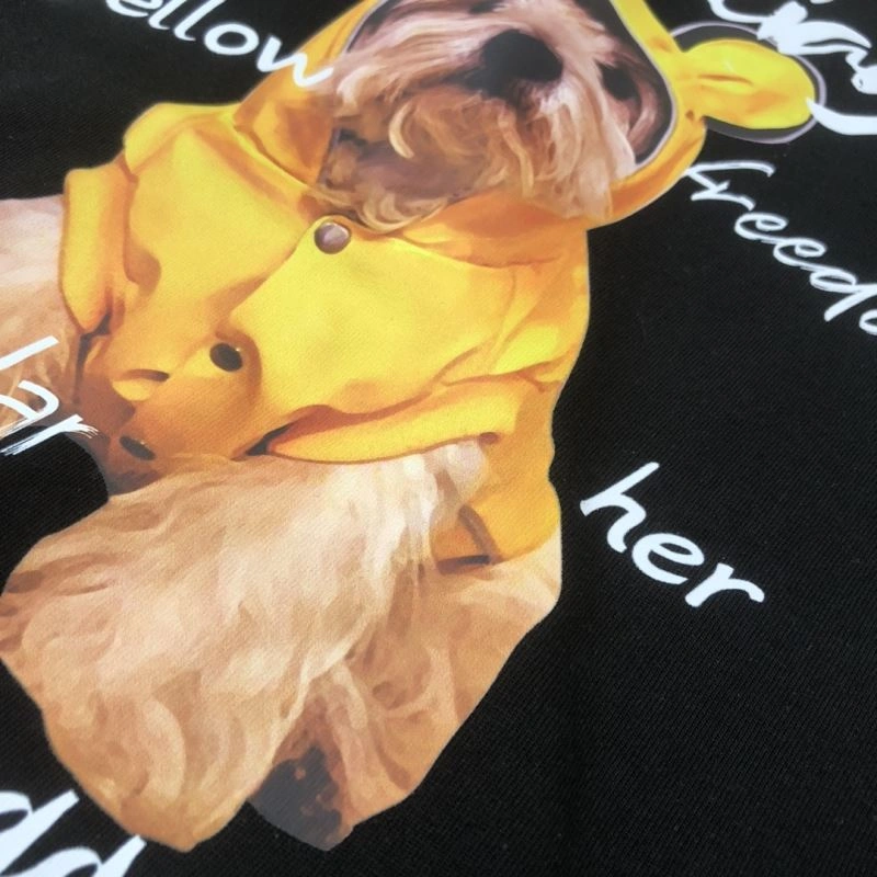Budget-friendly Balenciaga T-Shirts