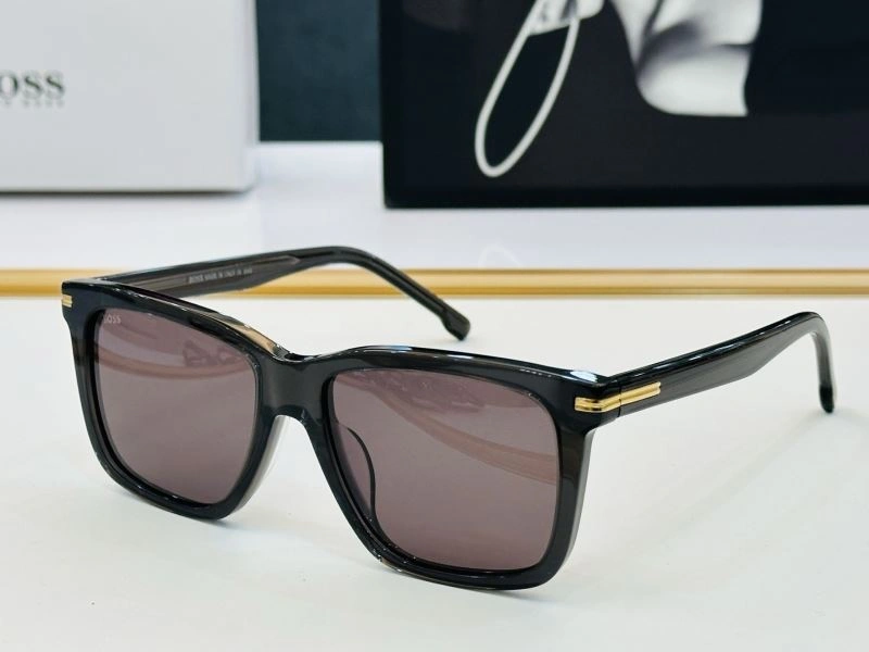 Affordable Boss Sunglasses