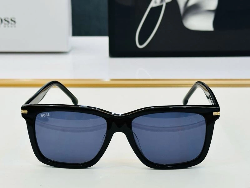 Affordable Boss Sunglasses