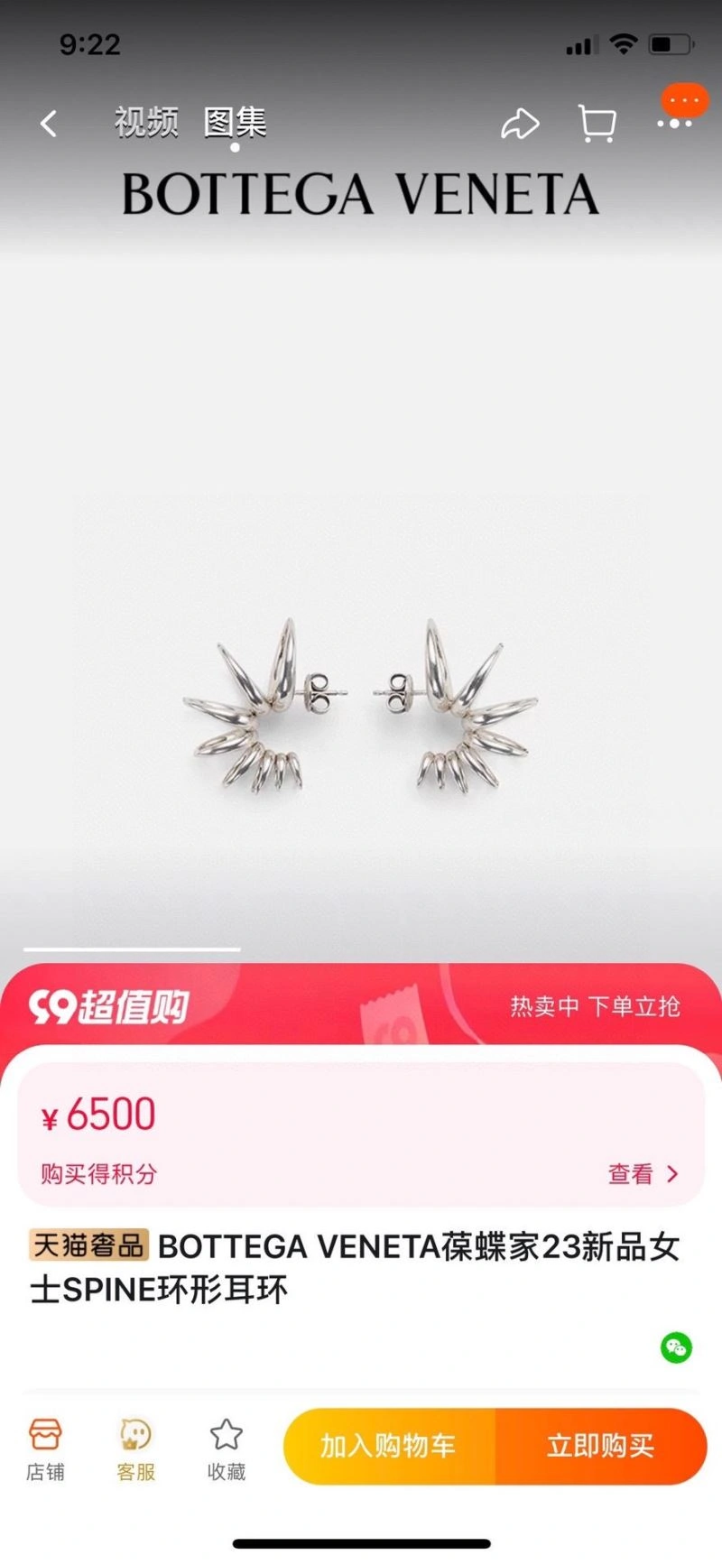 Discounted Bottega Veneta Earrings