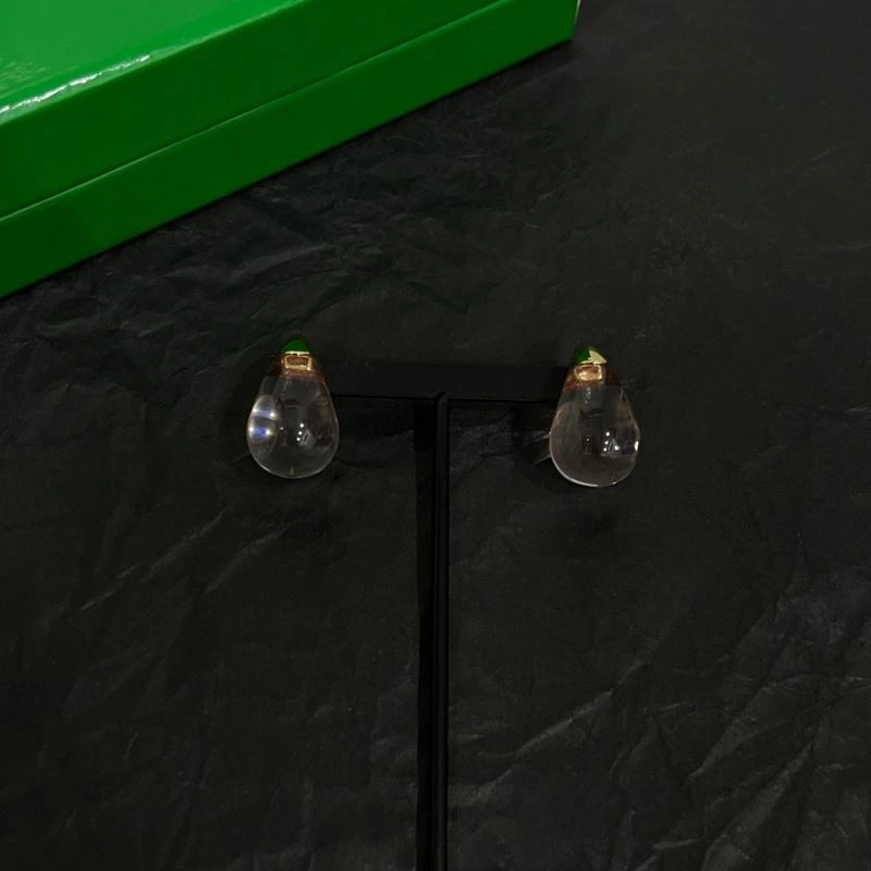 Precise copy Bottega Veneta Earrings