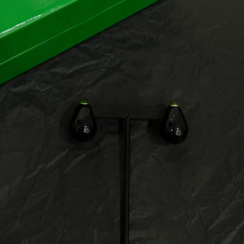 Exact replica Bottega Veneta Earrings
