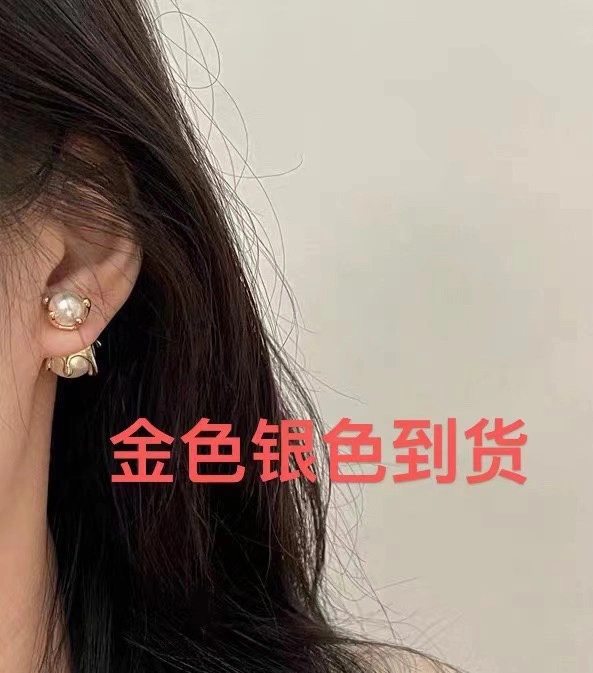 Mirror quality Bottega Veneta Earrings