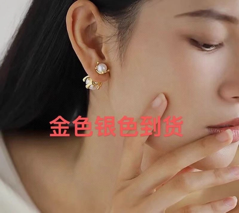 Mirror quality Bottega Veneta Earrings