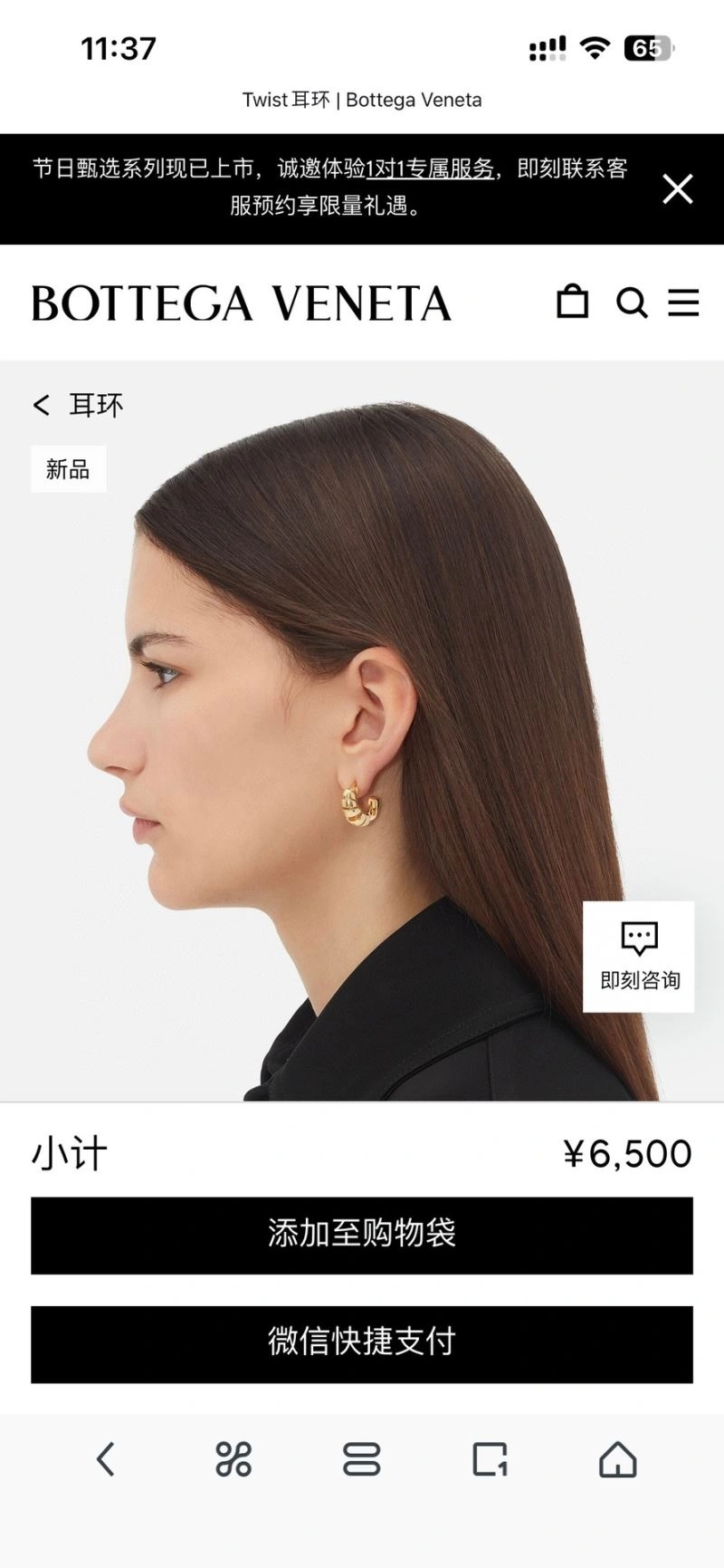 Bottega Veneta Earrings