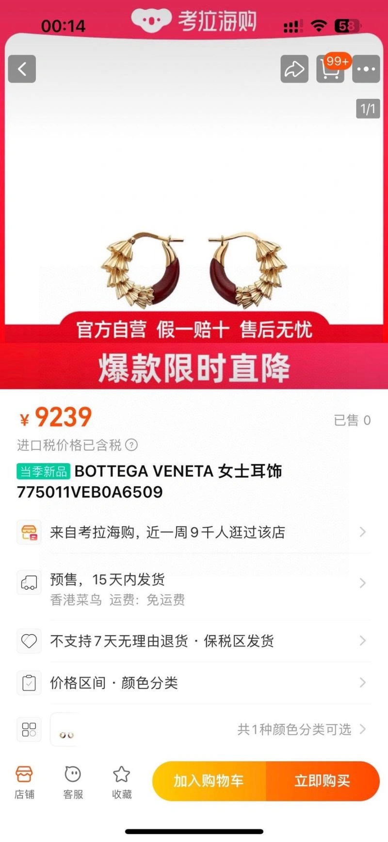 Bargain Bottega Veneta Earrings