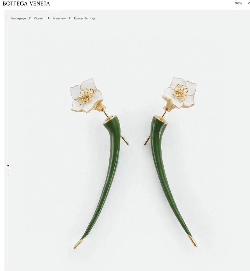 High accuracy Bottega Veneta Earrings