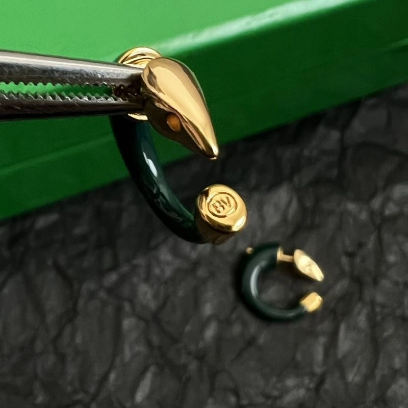 Accurate model Bottega Veneta Earrings