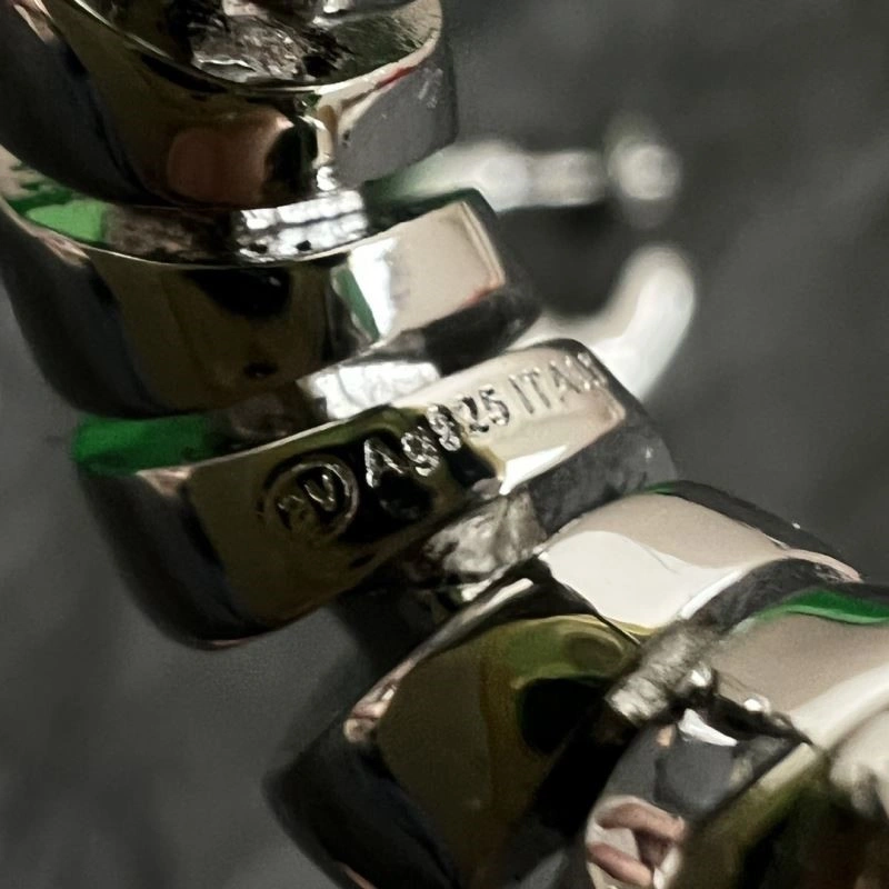 Bottega Veneta Earrings
