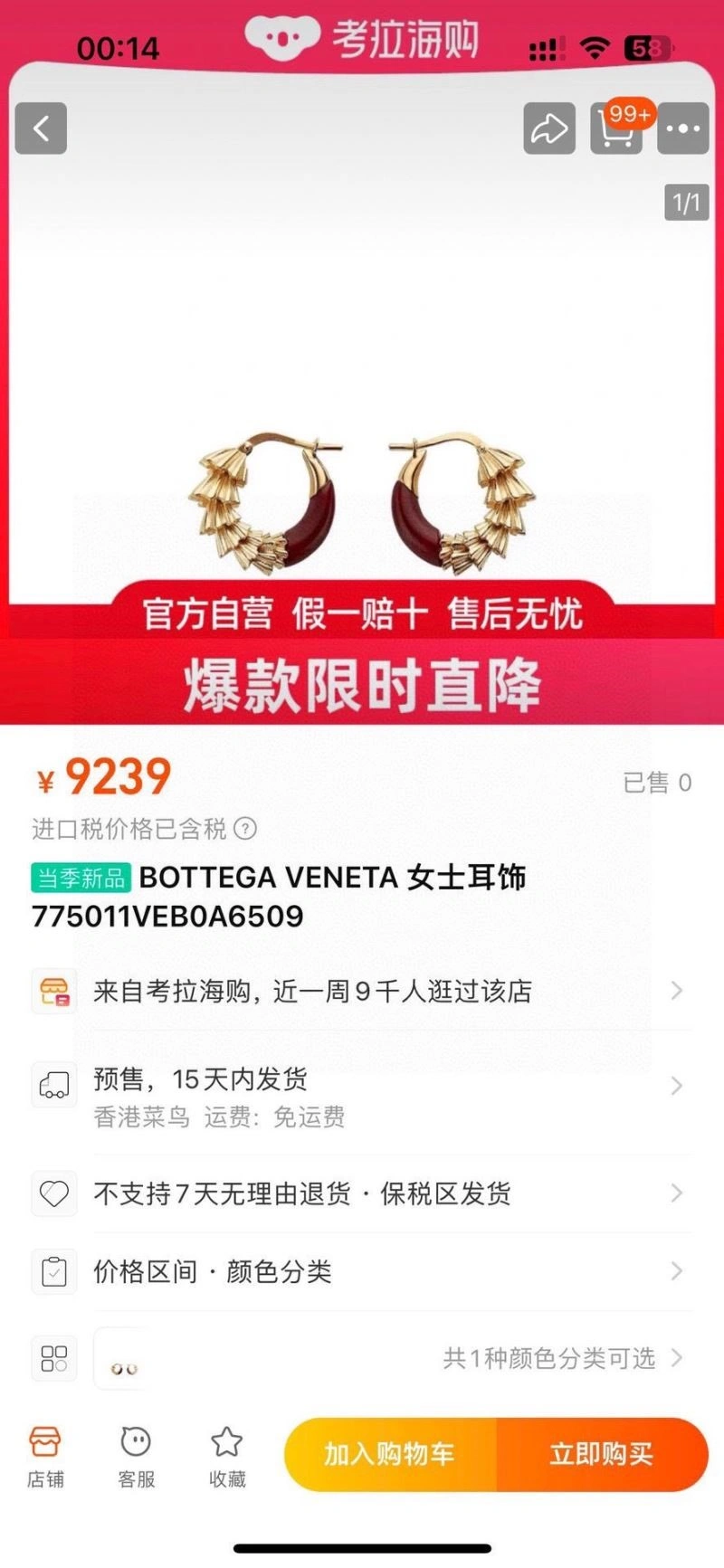 Official Bottega Veneta Earrings