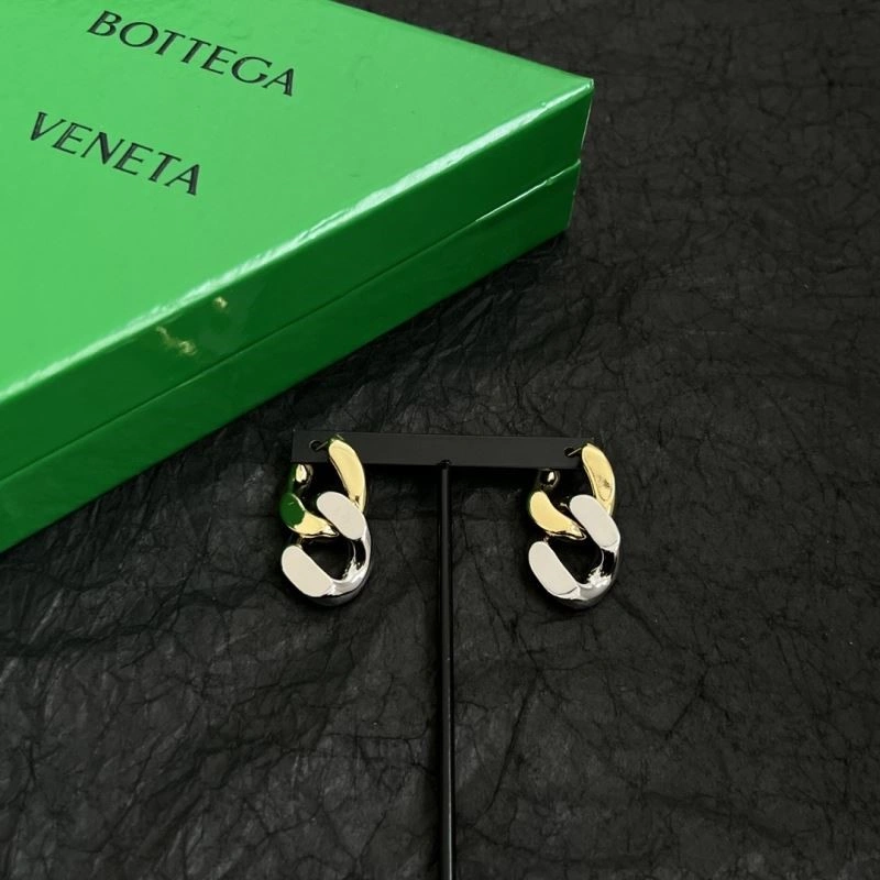 Mirror quality Bottega Veneta Earrings