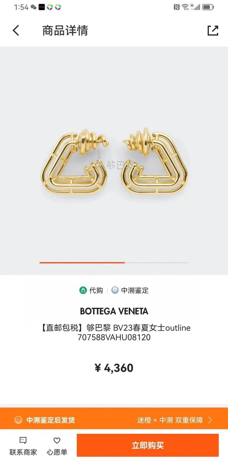Bottega Veneta Earrings