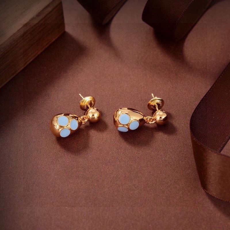 Exact replica Bottega Veneta Earrings