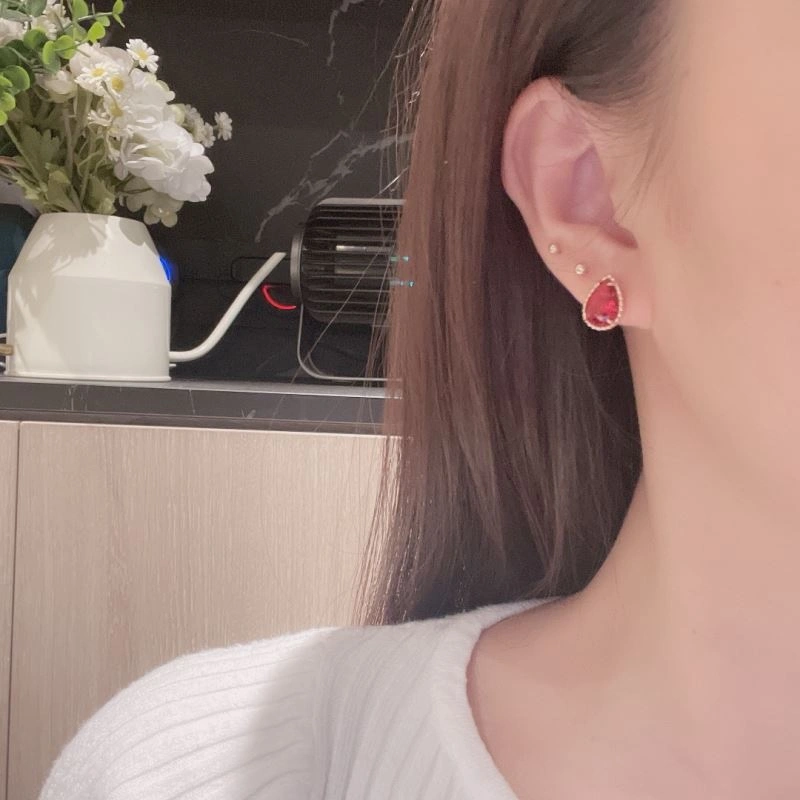 Brand-original Boucheron Earrings