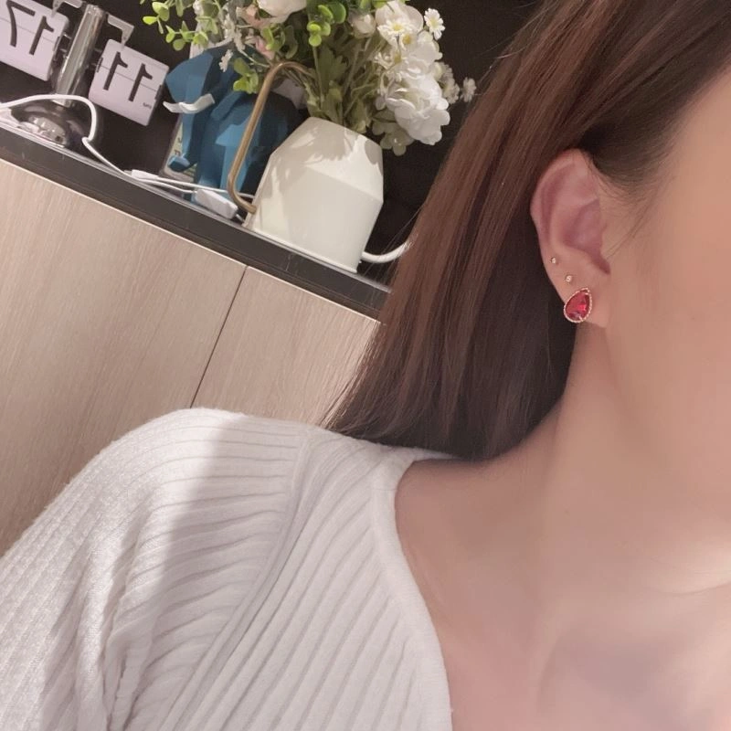 Brand-original Boucheron Earrings