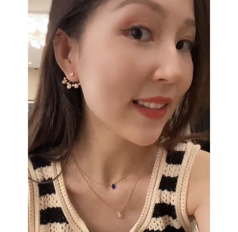 Mirror quality Boucheron Earrings