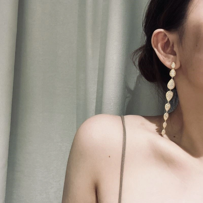 Value-priced Boucheron Earrings