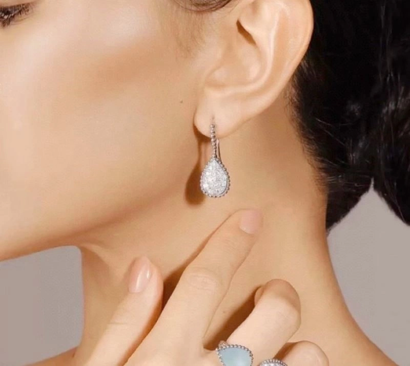 Reasonably priced Boucheron Earrings