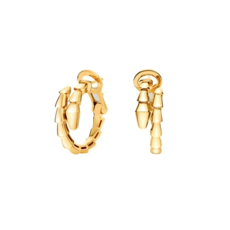 Boucheron Earrings